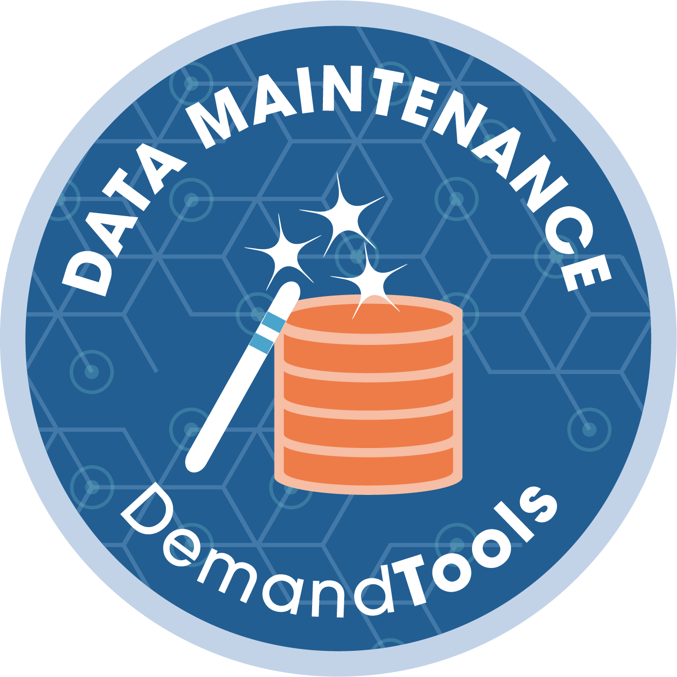 DemandTools Data Maintenance - Validity Academy