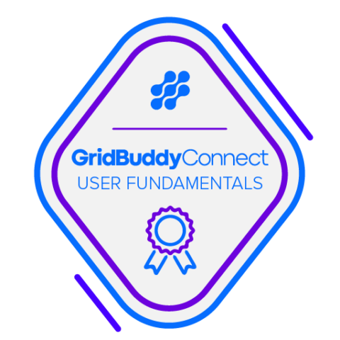 GridBuddy Connect User Fundamentals - Validity Academy